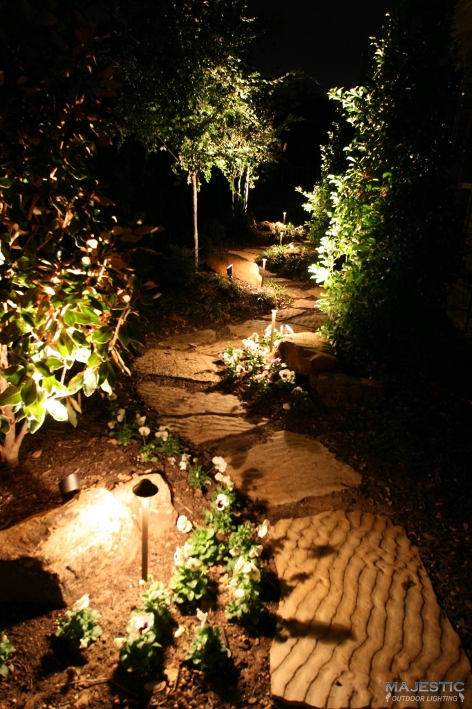 Published October 12, 2016 at 683 × 1024 in Photo Gallery . ← Previous ...